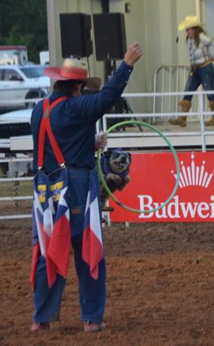 Professional rodeo gives Aiken County a wild ride