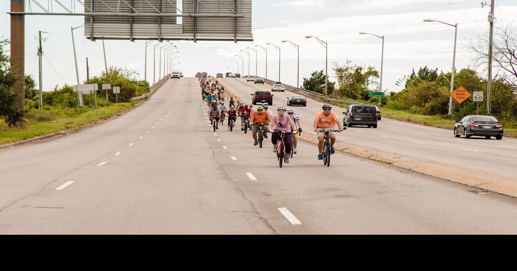 Charleston County to solicit public feedback about Ashley River ...