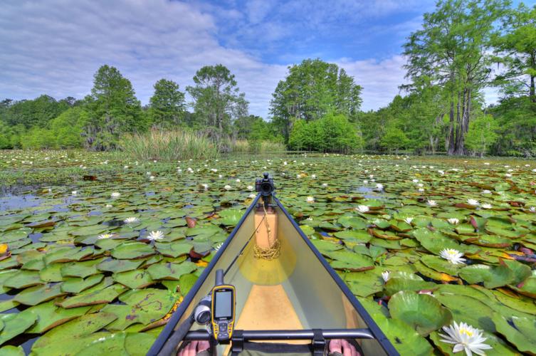 Berkeley County Blueways has 25 trails through more than 235 miles of ...