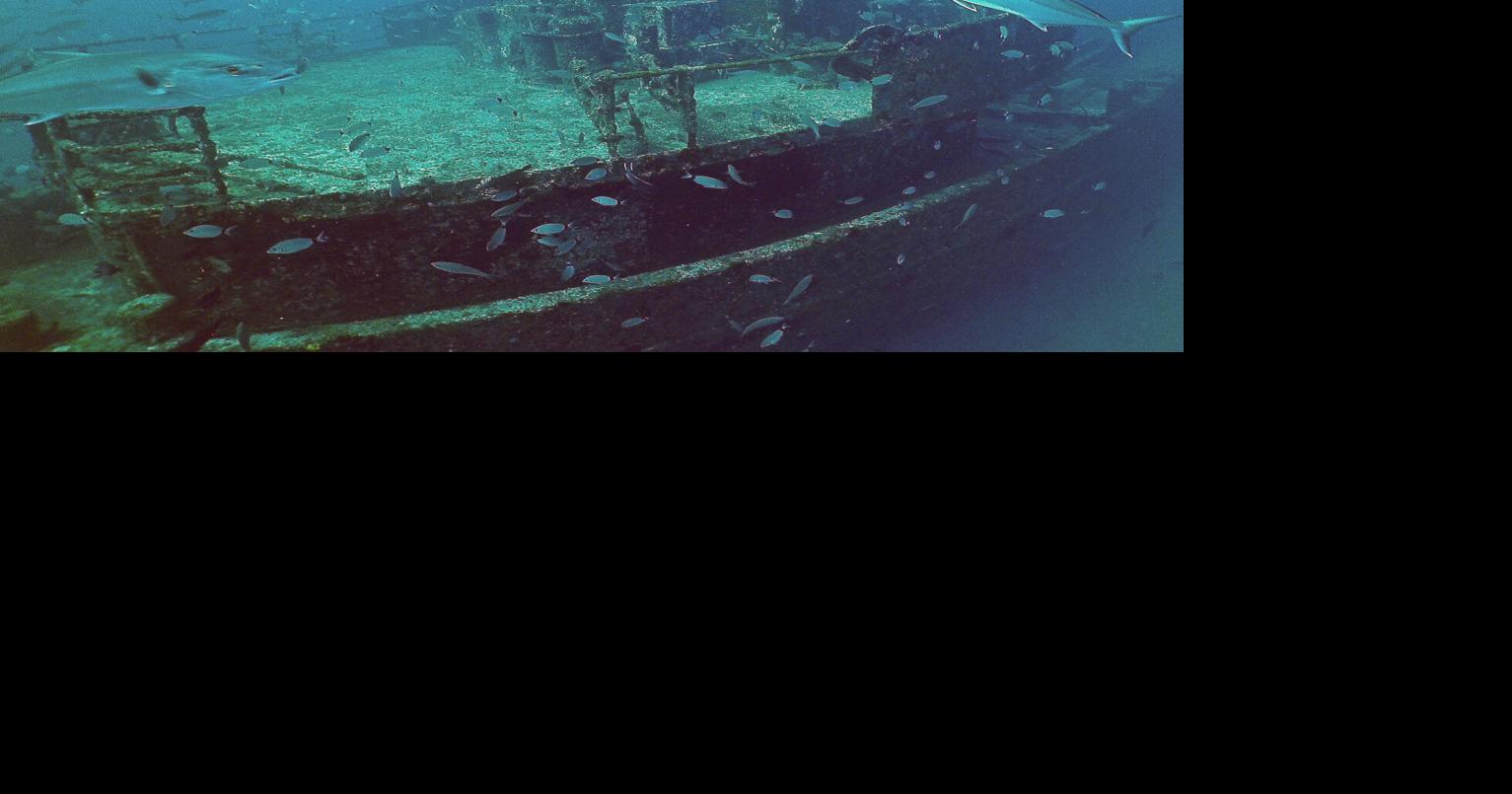 Smart reefs being placed off Charleston will record data to aid coastal ...
