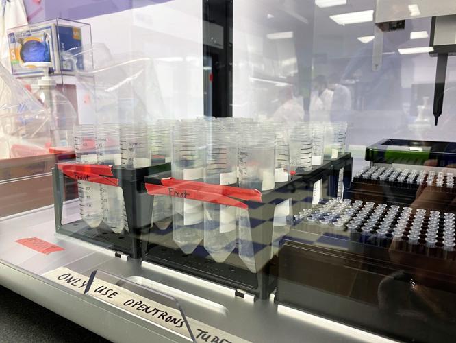 2020 in the Upstate: Marked by monumental events, the year's full ...