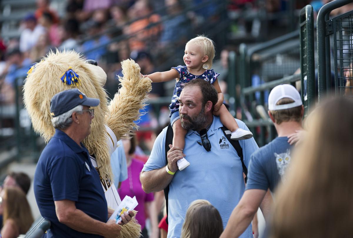All-Lowcountry baseball, softball teams honored at RiverDogs Game ...