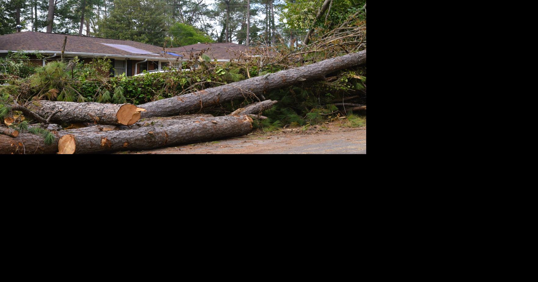 Some areas of North Augusta will see faster storm cleanup
