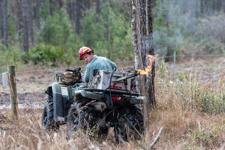 Fighter jets and conservation on Marine corps bombing range