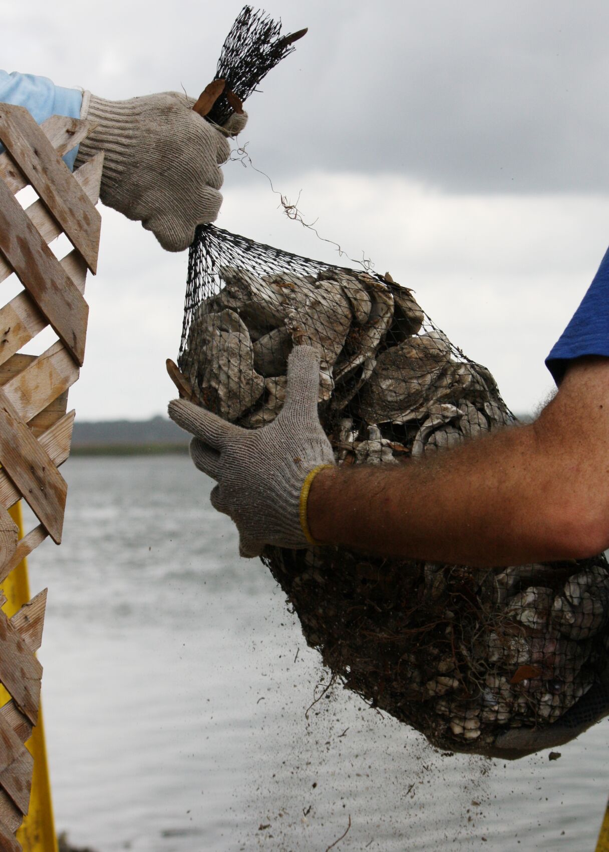 Scientists turn to oyster shells to save historic SC fort