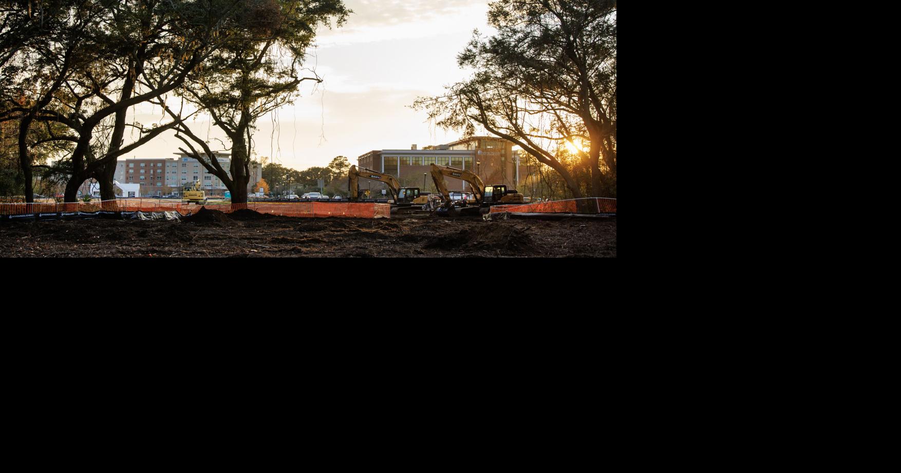 mount pleasant trees ltd