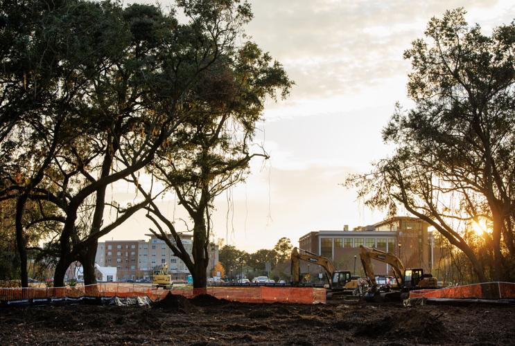 mount pleasant trees