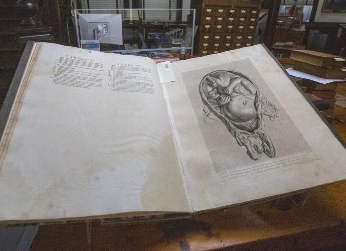 Photos: MUSC Historic Waring Library | Multimedia | postandcourier.com