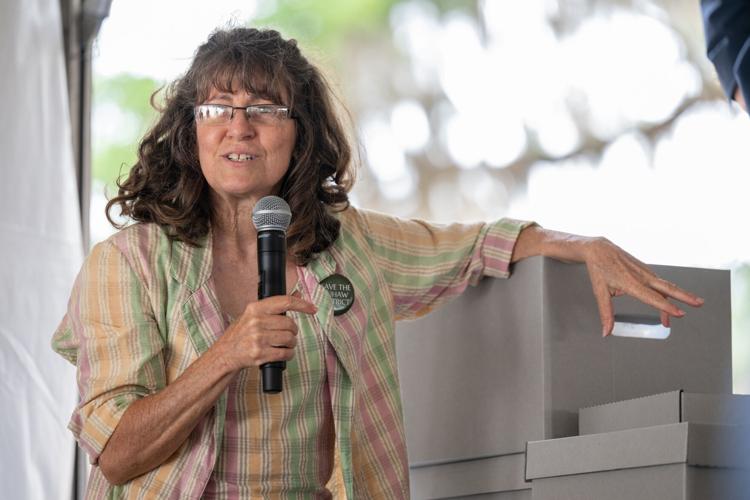 Revisiting an SC signer of the Declaration of Independence