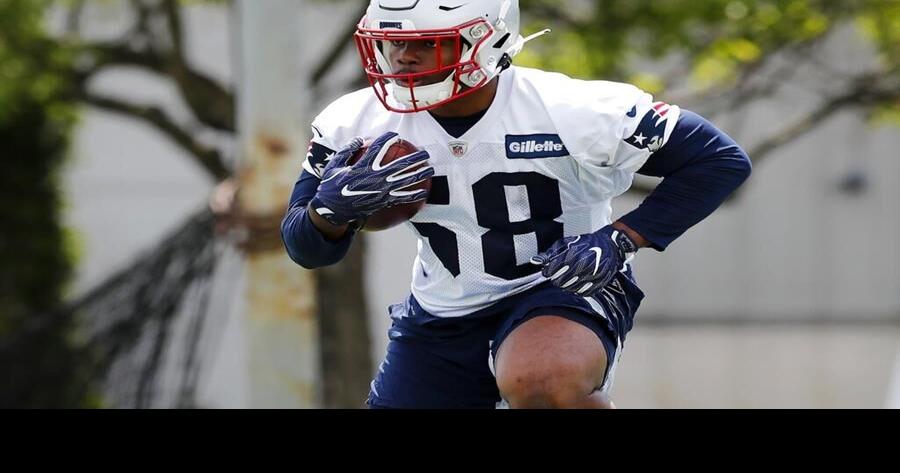 Gamecocks in the NFL | Gamecocks Now | postandcourier.com