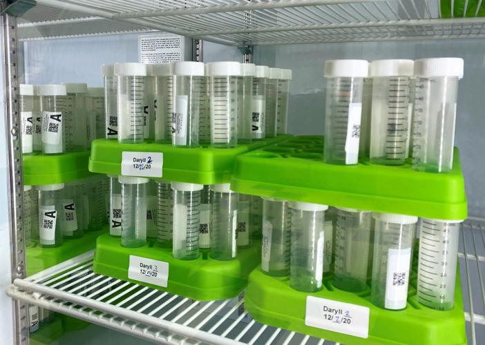 Clemson offers in-house coronavirus tests free to the public as Upstate ...