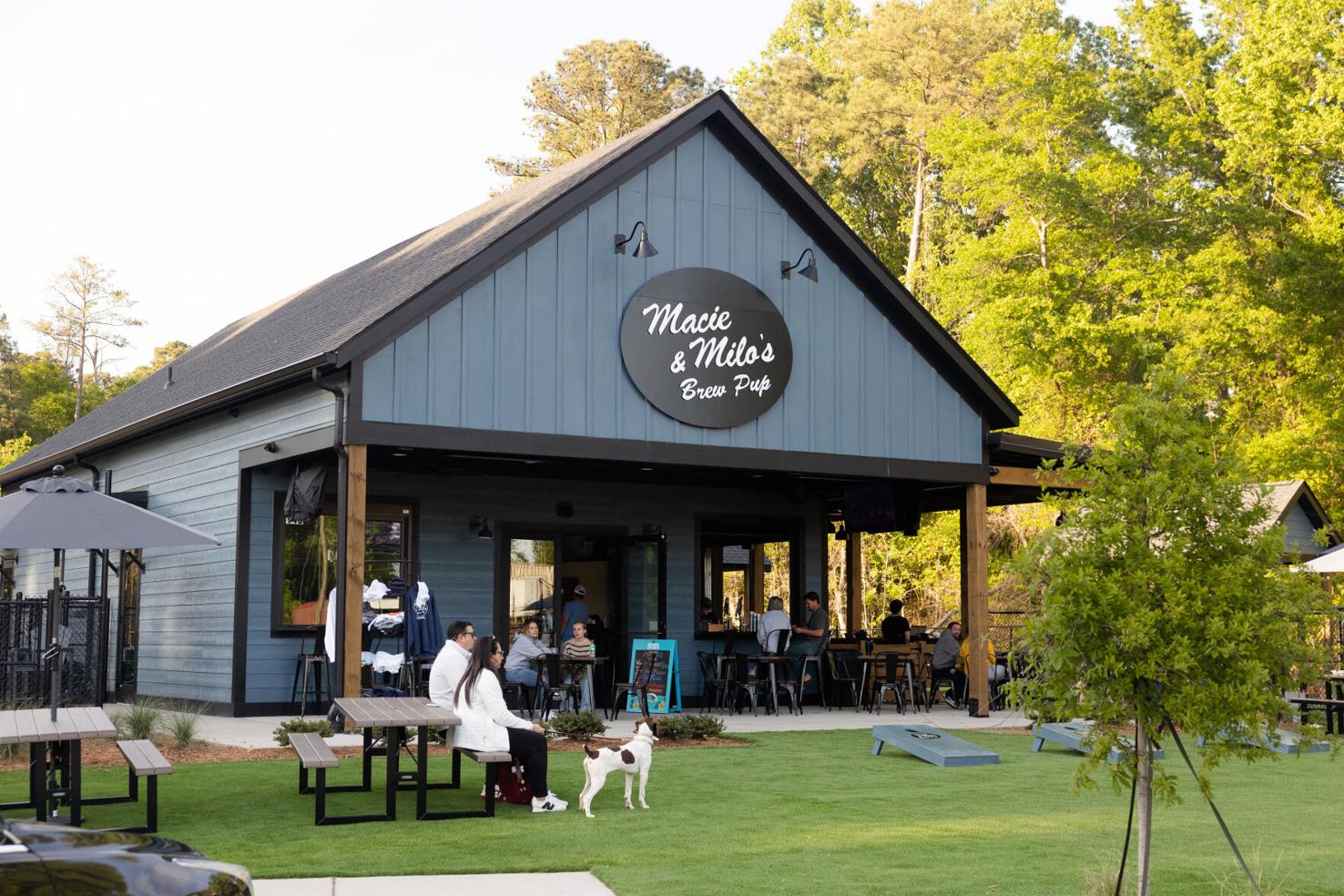 Combination dog park bar now open in Lexington, SC