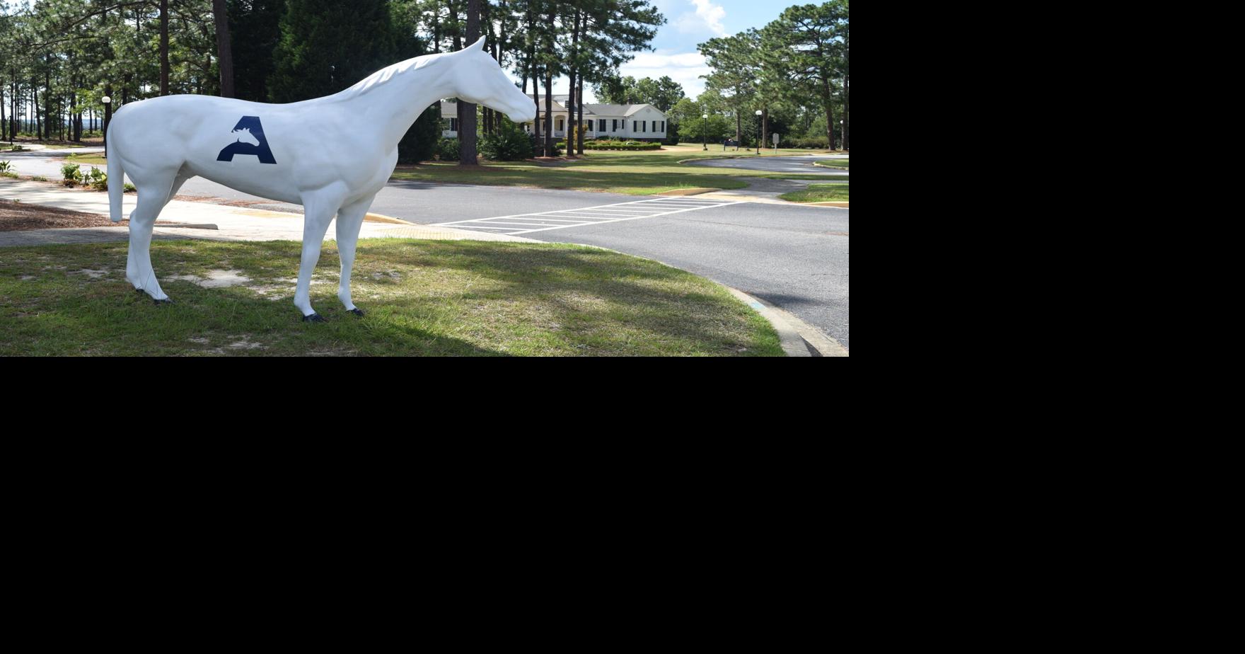 CENTER FOR LIFELONG LEARNING: Volunteers make the Center for Lifelong ...