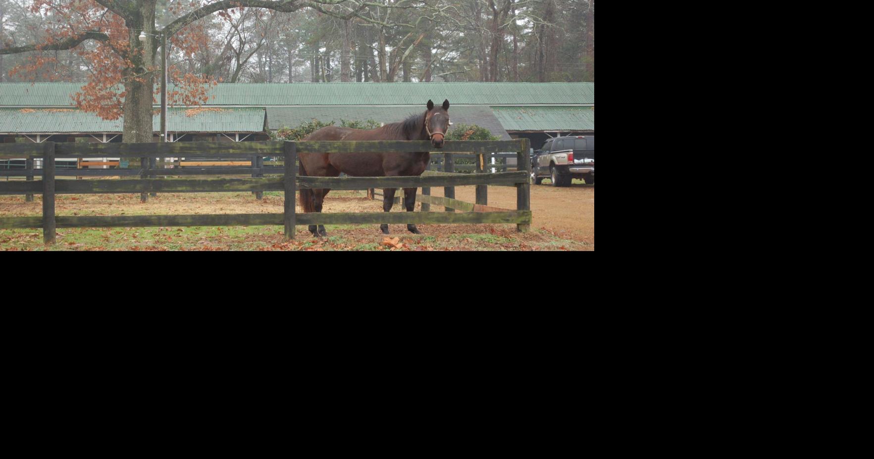 Whitney Barns Group signs lease