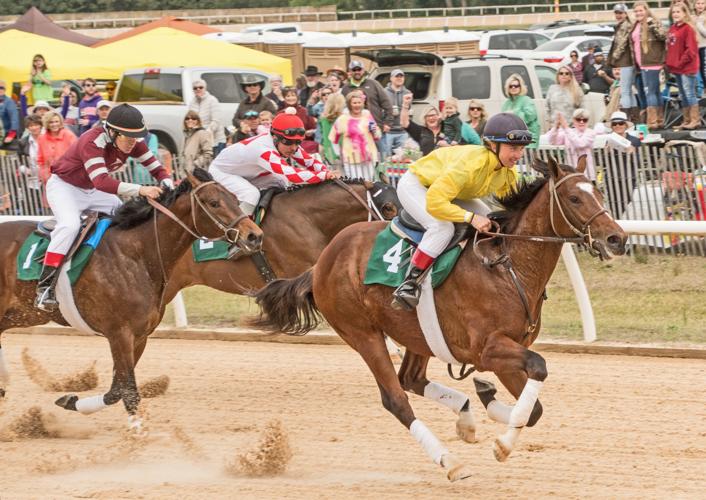Aiken Trials returning Saturday to kick off Aiken Triple Crown after ...