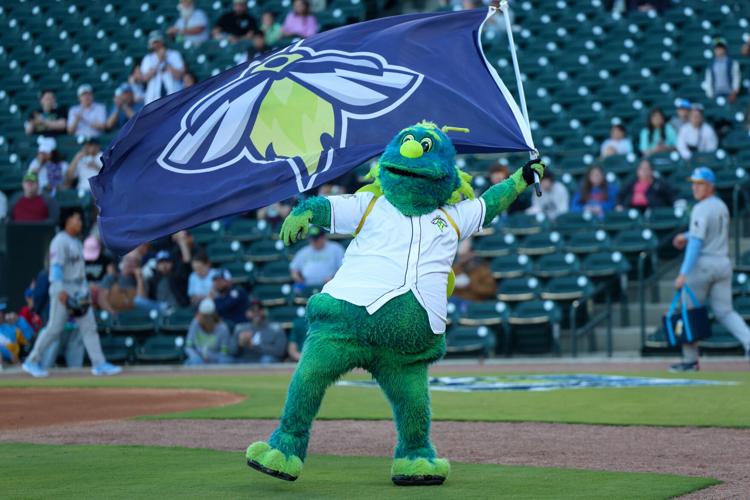 Photos: Opening night at Segra Park, home of the Fireflies