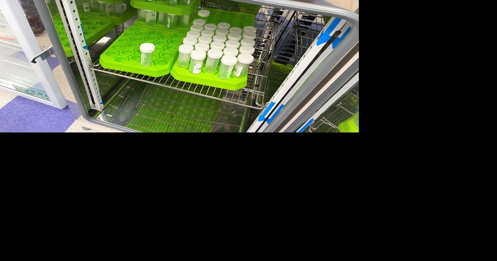 Clemson closing community COVID test site at Nettles Park