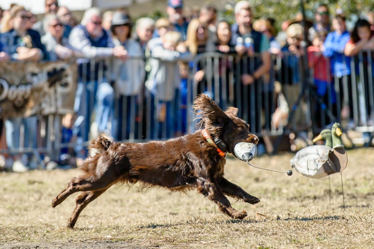 SEWE 2025 Calendar of Events