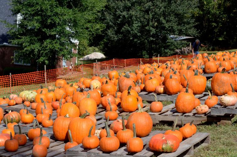 Pumpkin patch at St. Bartholomew's opens for fall