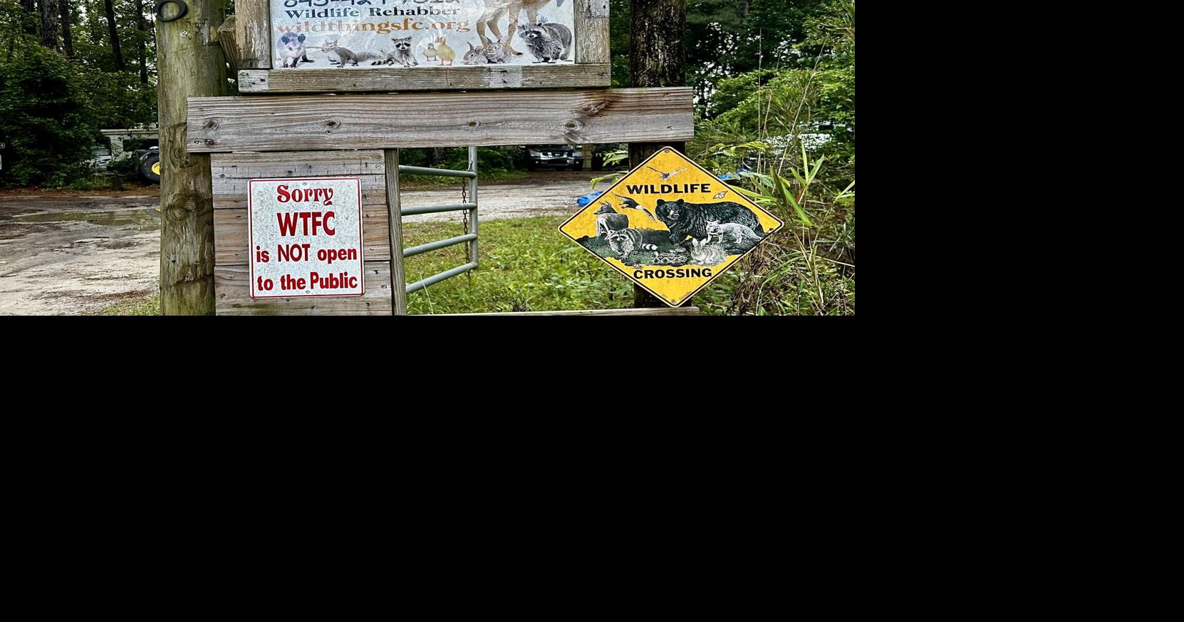 Georgetown animal rehab broke law, can't solicit donations