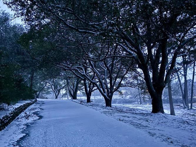Let it Snow! Aiken area sees several inches of snow and ice