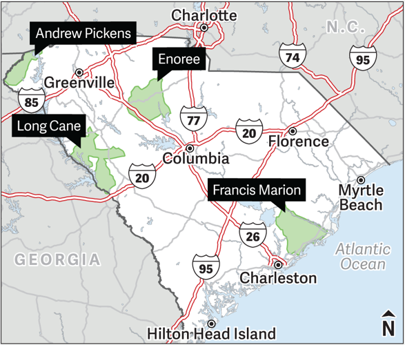 SC's federal forests could soon open up to new roads