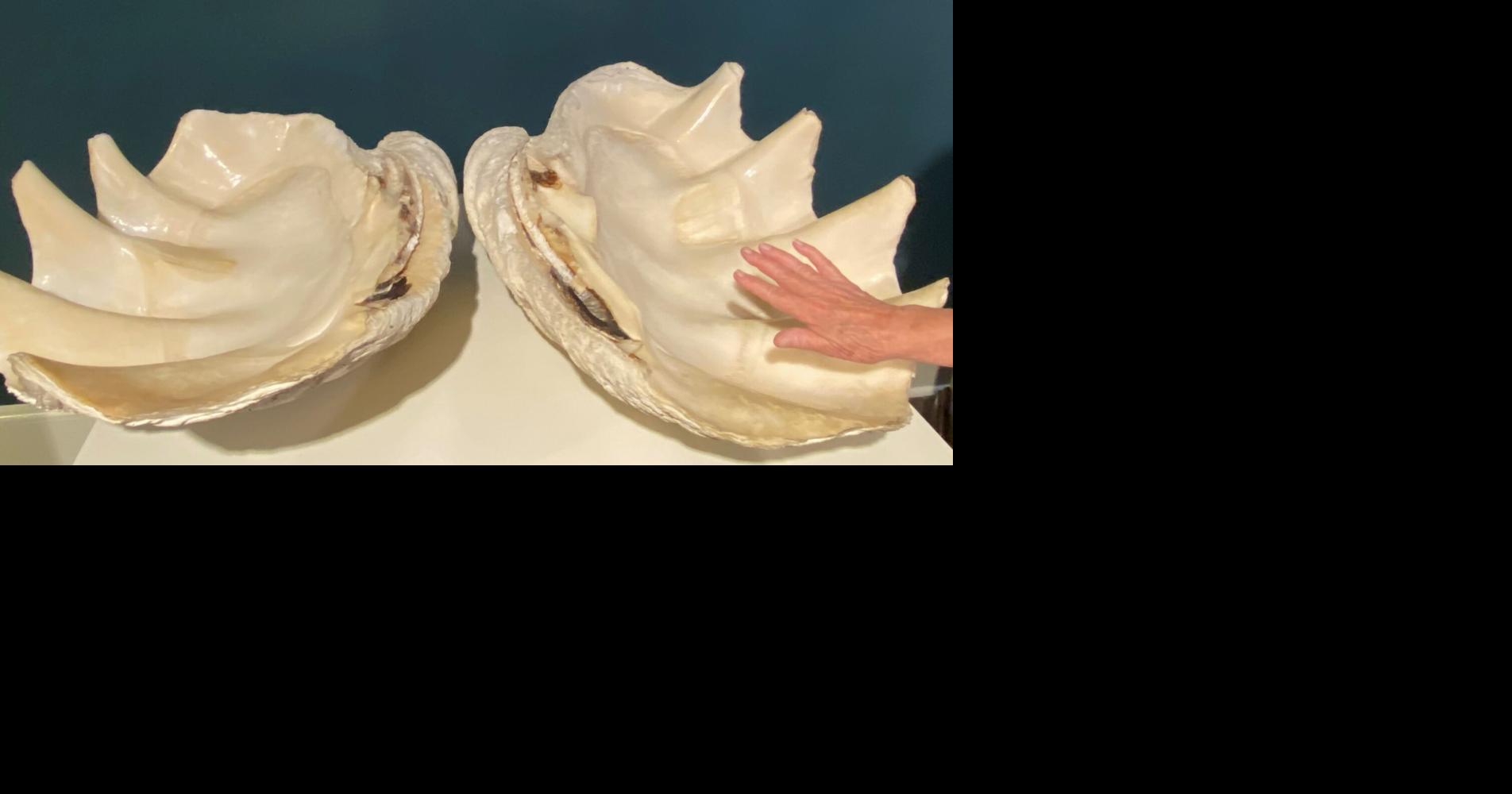 ECOVIEWS: What does the Lightner Museum have to offer? | Features ...