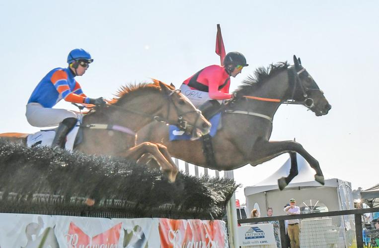 Aiken Spring Steeplechase draws over 30,000 attendees