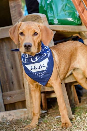 Let kids celebrate their "wild" side at SEWE among animals and the ...