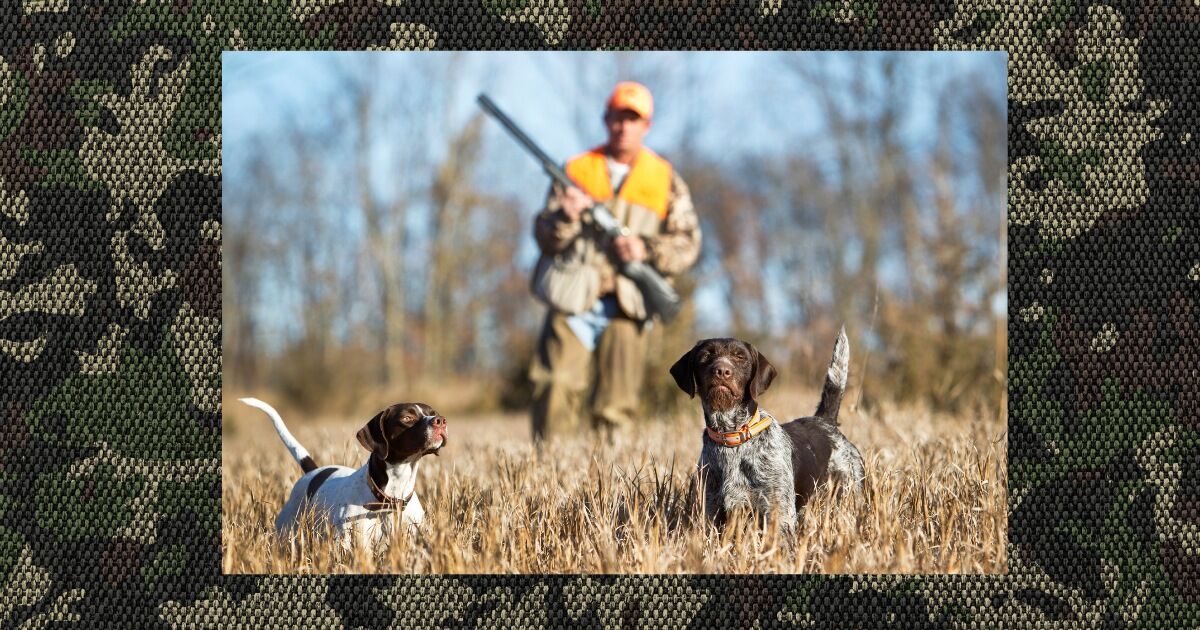 Fall hunting seasons usher in Thanksgiving traditions