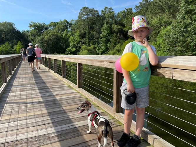 Port Royal holds a birthday party for hundreds of baby birds
