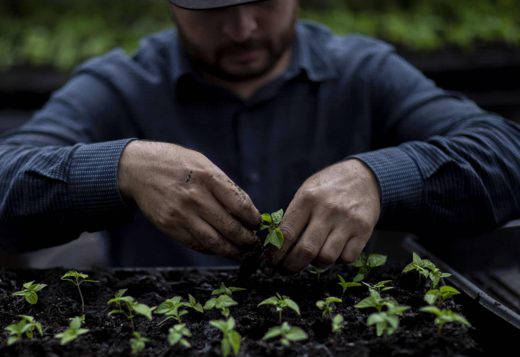 Meet Ed Currie, the South Carolina man who created Pepper X