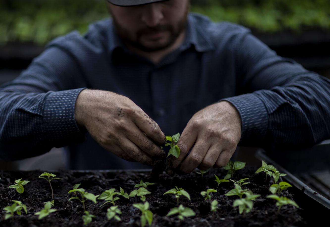 Meet Ed Currie, the South Carolina man who created Pepper X