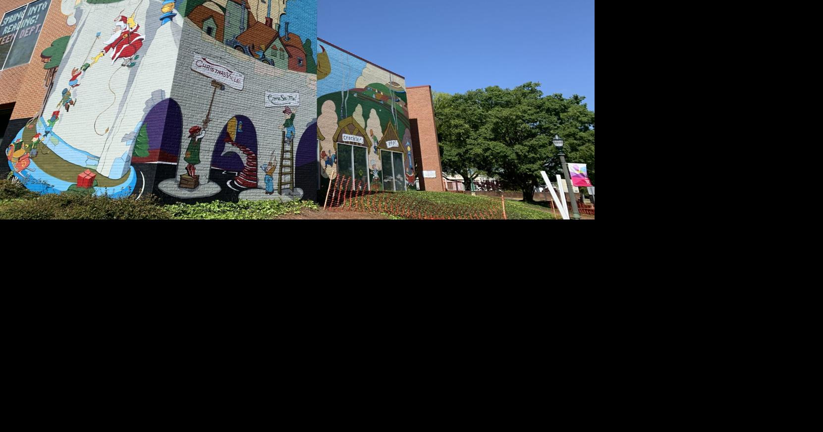 Voters could consider new York County libraries soon