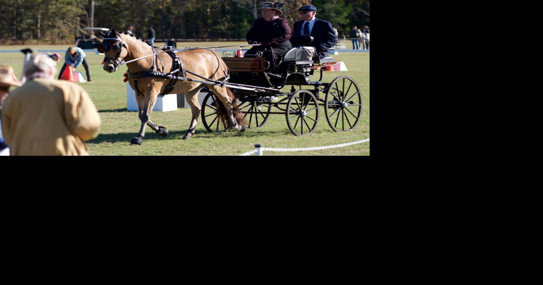 Katydid Combined Driving Event draws weekend crowd in Aiken County
