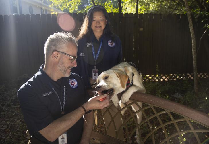 Homeless man allegedly attacks chaplain's Summerville house