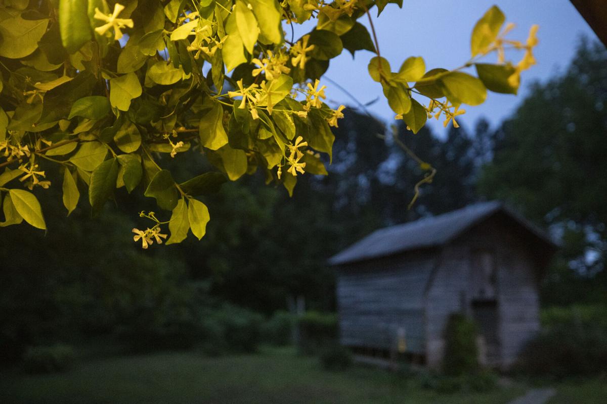 Family relives grueling history of slavery in York County