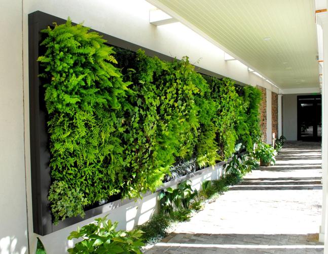 Green roofs, walls gain momentum in South Carolina