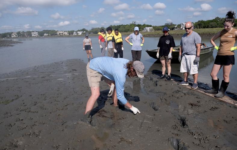 New Murrells Inlet oyster reef
