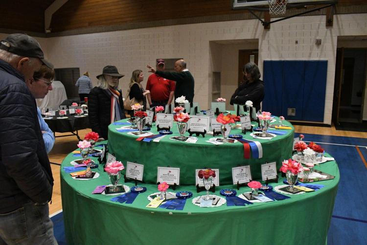 Aiken Camellia Show presents winter blooms of abundant color
