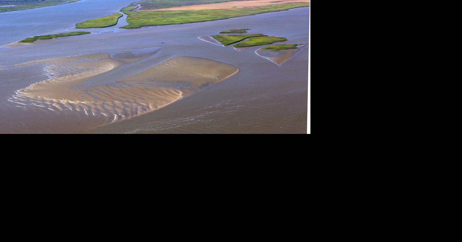 Santee Cooper's longstanding land grab starves the Santee Delta