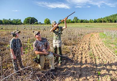 For SC hunters, doves can offer a 55 mph challenge | Sports ...