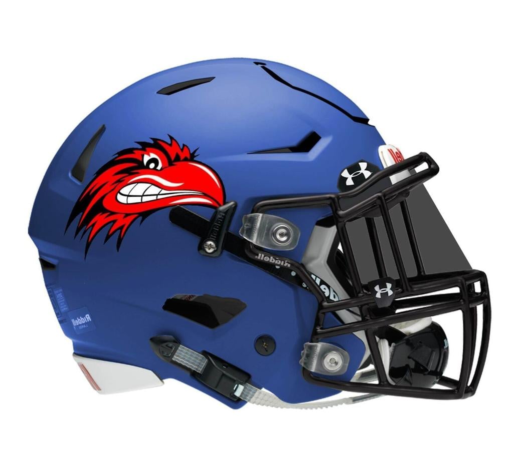 SC Ravens to bring arena football to the Florence Center