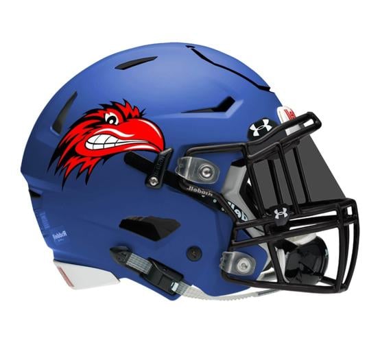 SC Ravens to bring arena football to the Florence Center