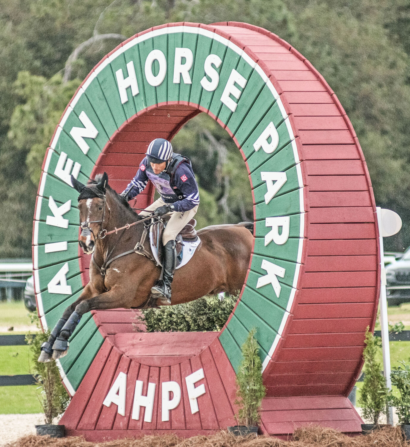 Riders and horses with Aiken ties chosen for U.S. Eventing Team at ...