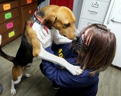 Dorchester Paws emptied shelter of adoptable dogs