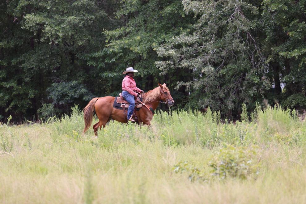 Blythewood, SC author/equestrian DeLana Dameron has died