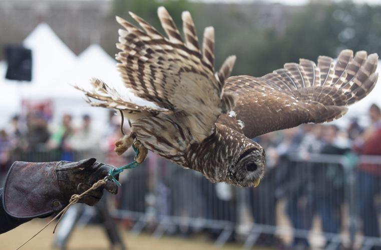 How to buy tickets for SEWE 2026 events in Charleston, SC