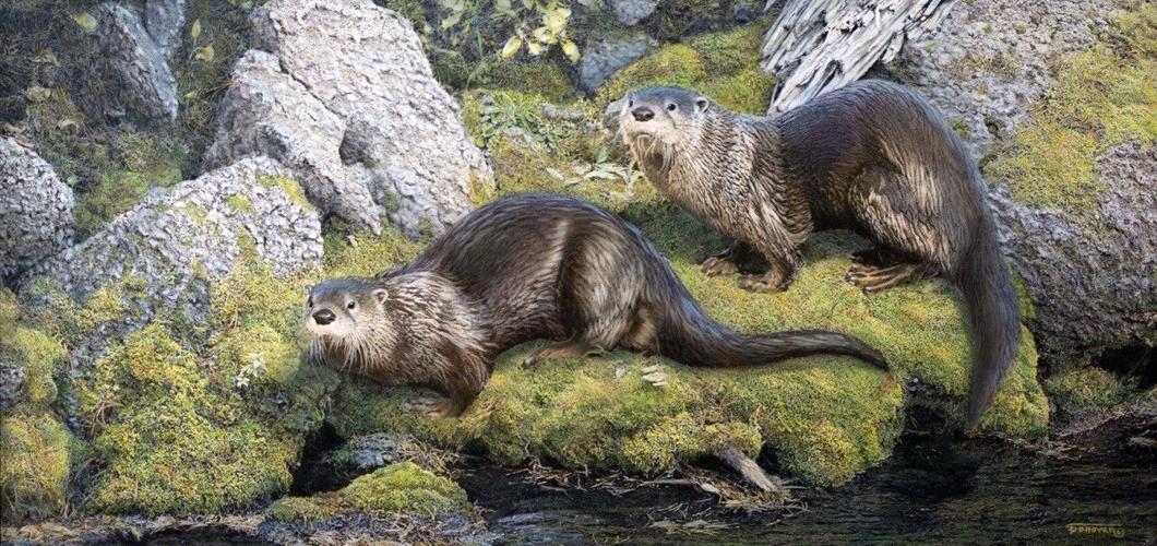 Aiken arts center exhibit features wildlife art