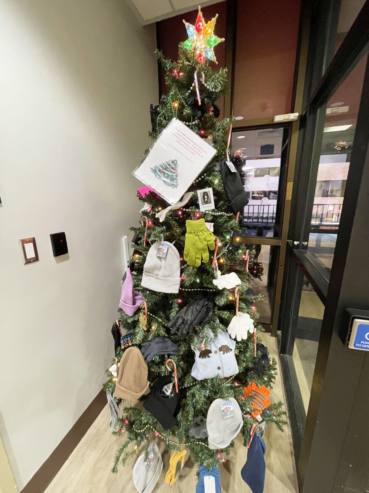 MUSC's 'Giving Tree' warms hearts amidst winter chill